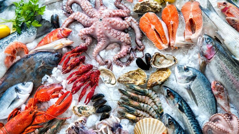 5 Jenis Seafood yang Baik Dikonsumsi untuk Kesehatan – KabarMedan.com
